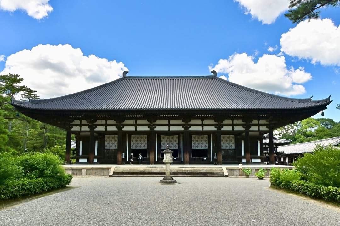 [9-Person Small Group] Uji & Nara Day Trip丨Byodo-in Temple & Matcha ...